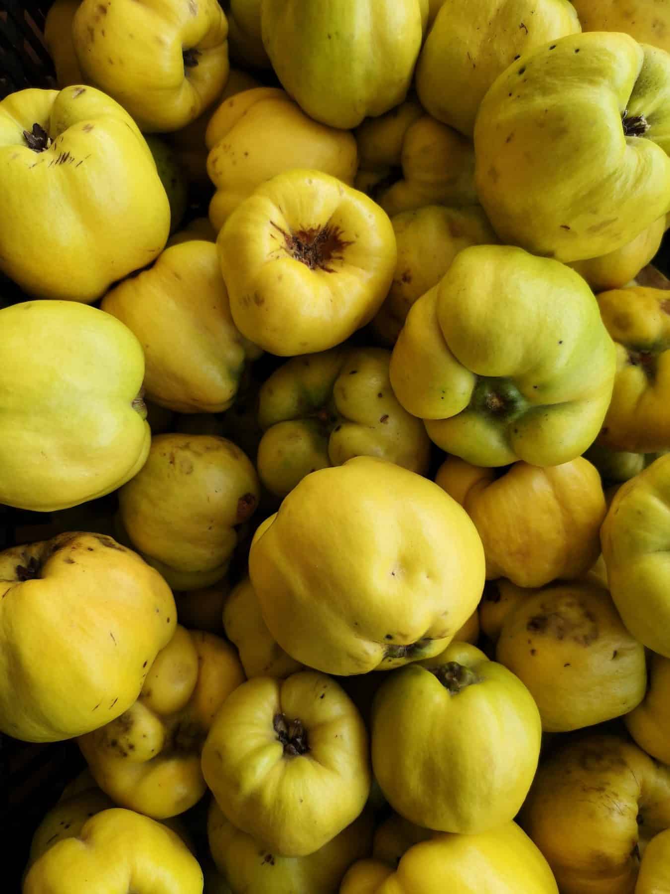 Quince Jelly - A Simple Recipe | All Ways Delicious