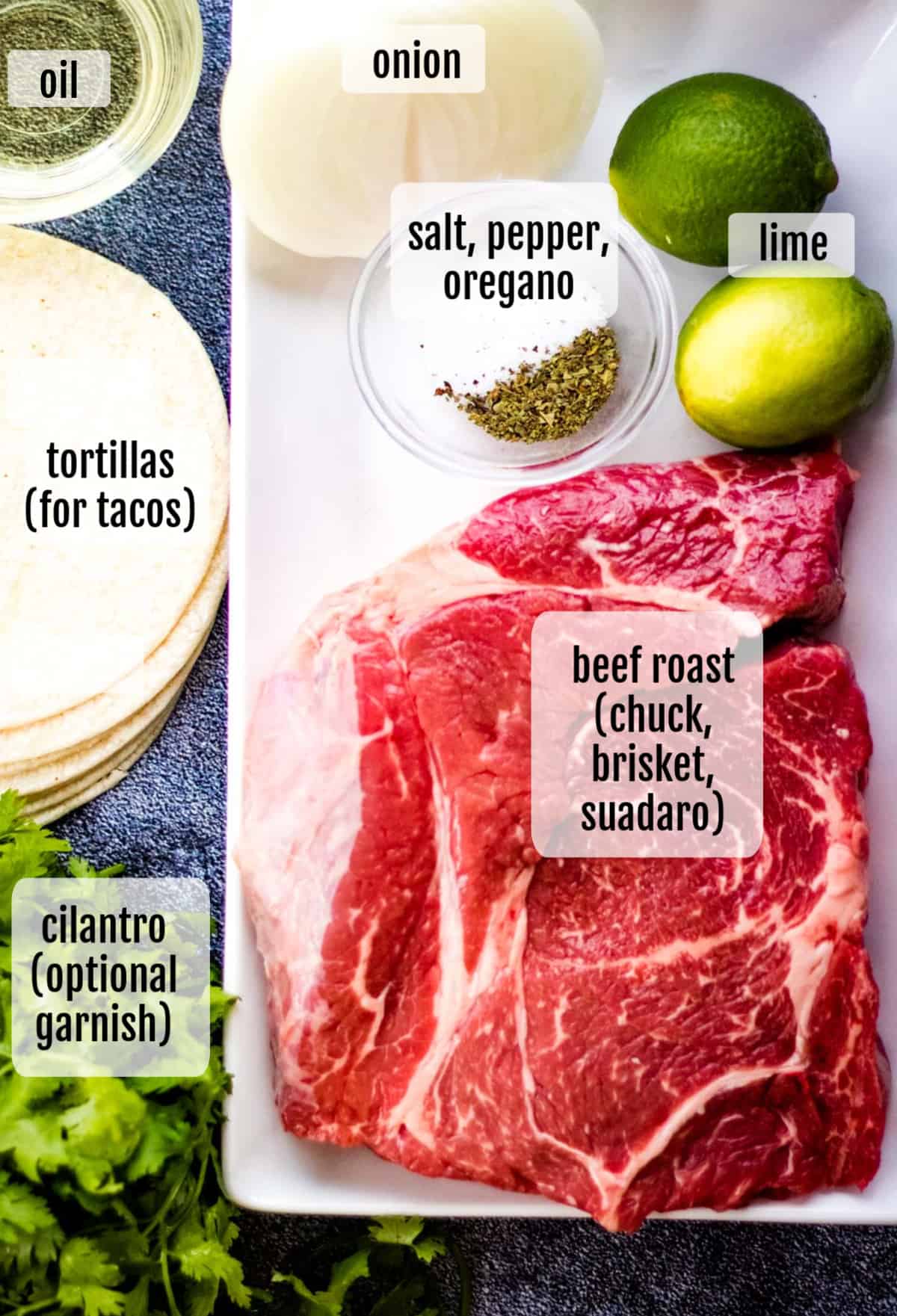 Mexican Shredded Beef | All Ways Delicious