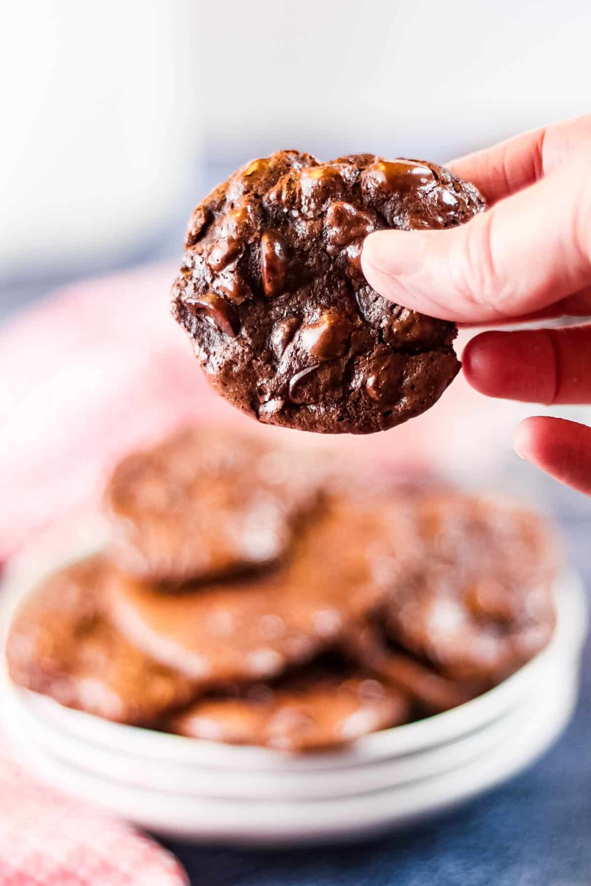 Flourless Chocolate Cookies | All Ways Delicious